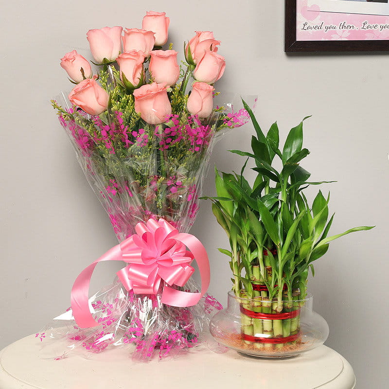 Pink Roses and Lucky bamboo - Manipalflora